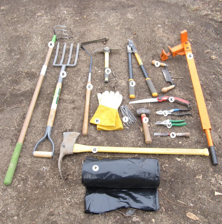 Basic Weeding Tools | Go Native Long Island